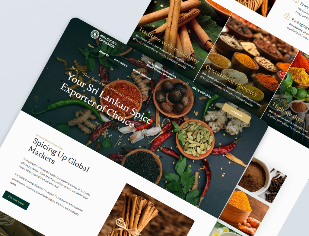 Avin Global Website Design & Development | 360Digital